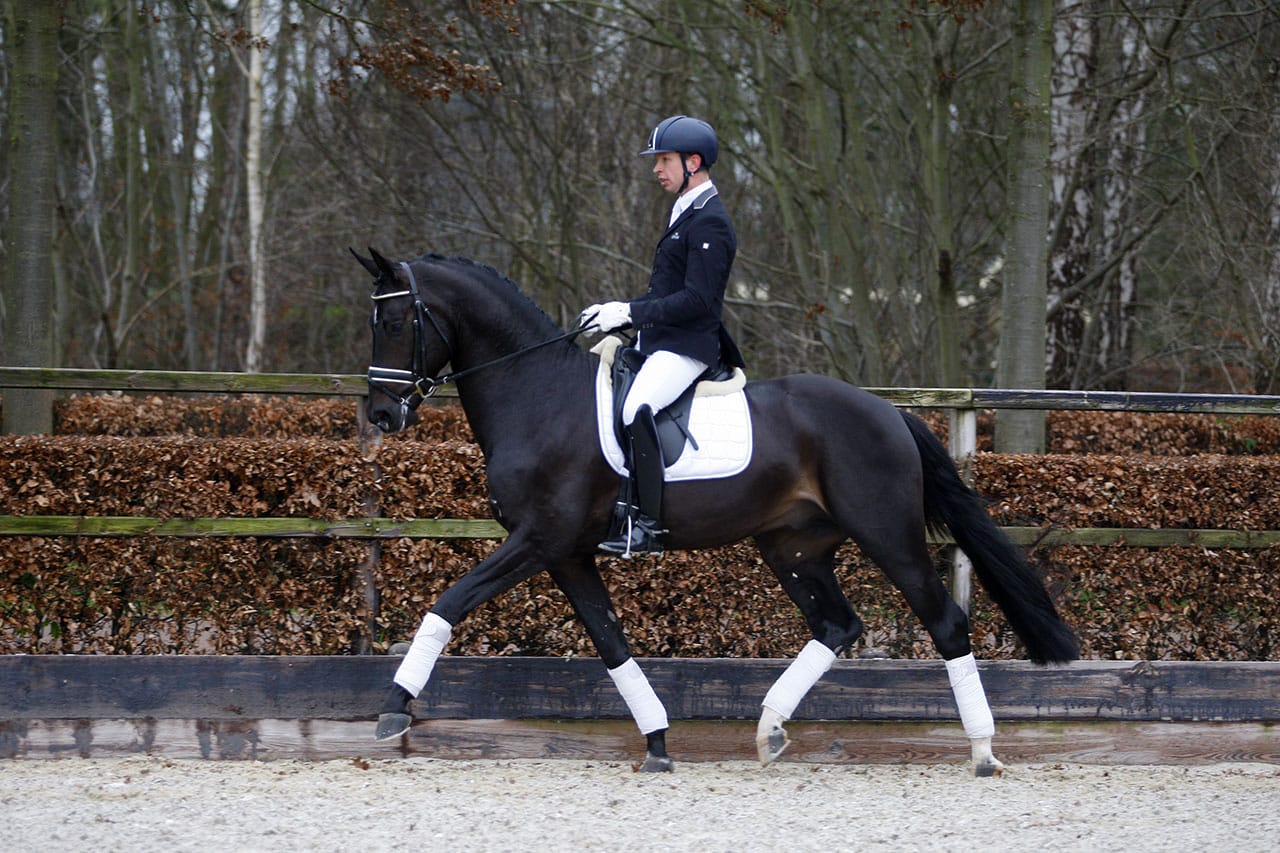 Formidable | Team Nijhof