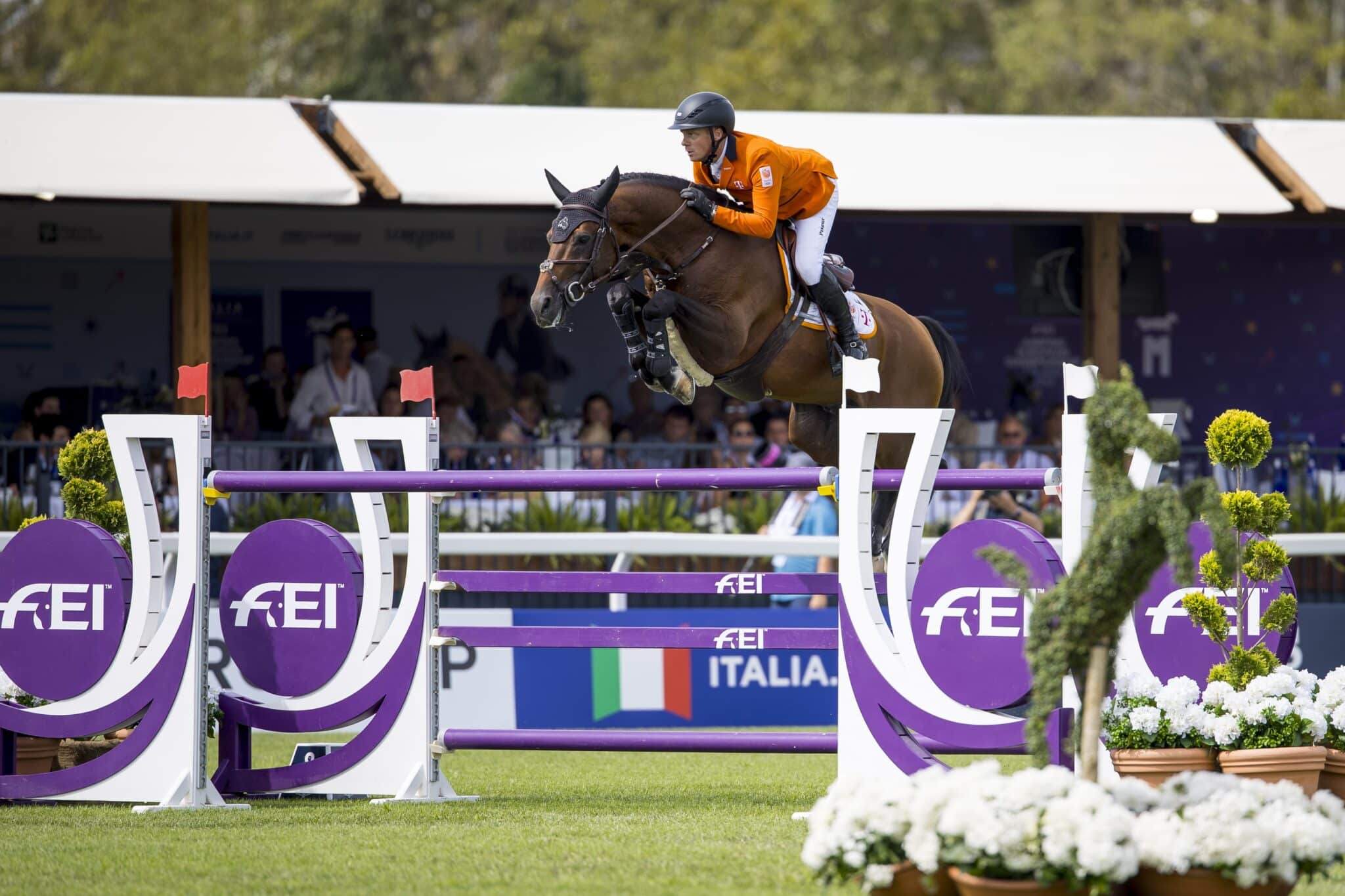 Springhengsten | Categorieën | Team Nijhof