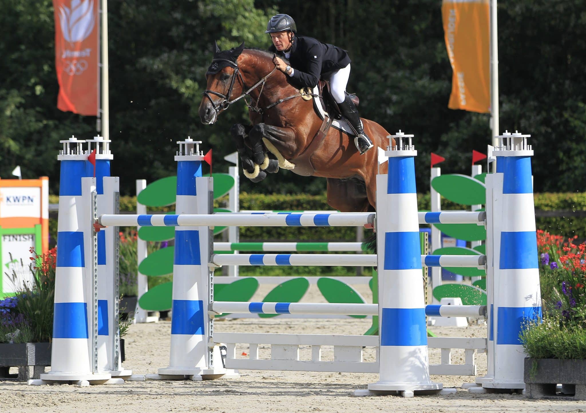 Springhengsten | Categorieën | Team Nijhof