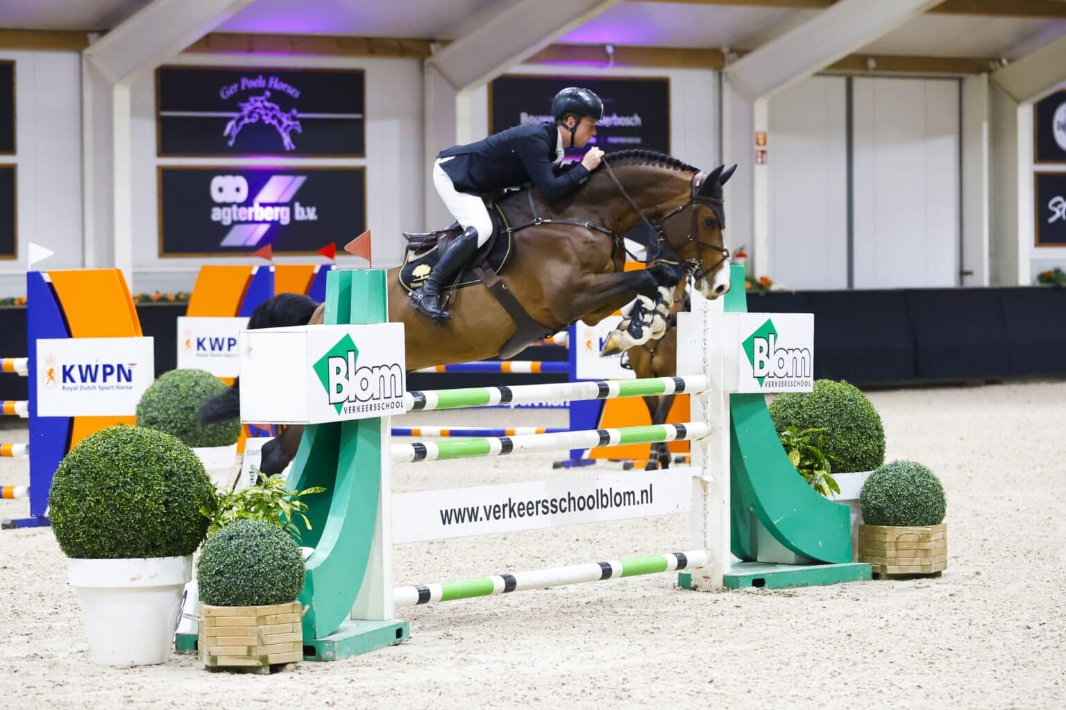 Springhengsten | Categorieën | Team Nijhof