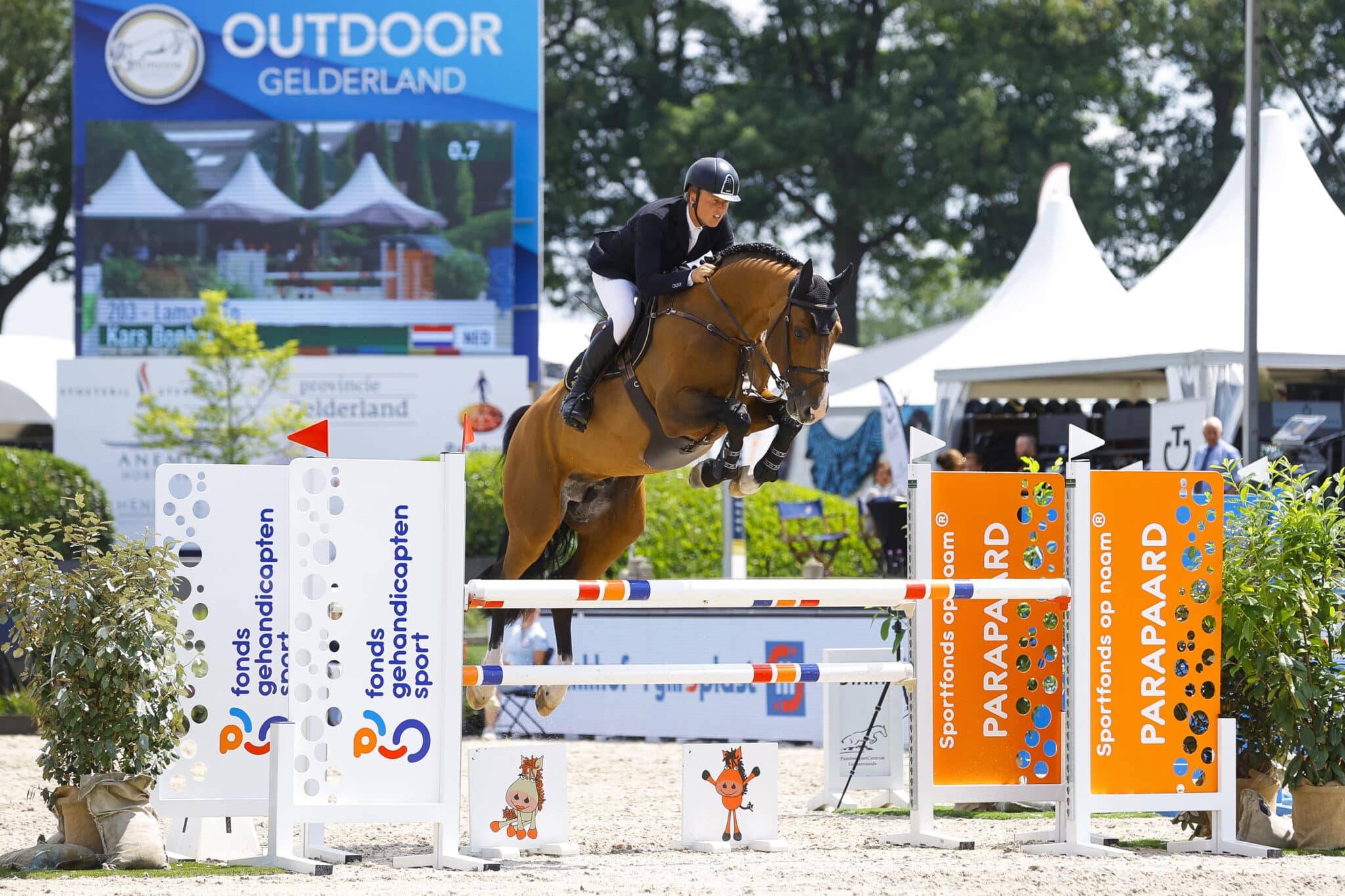 Springhengsten | Categorieën | Team Nijhof