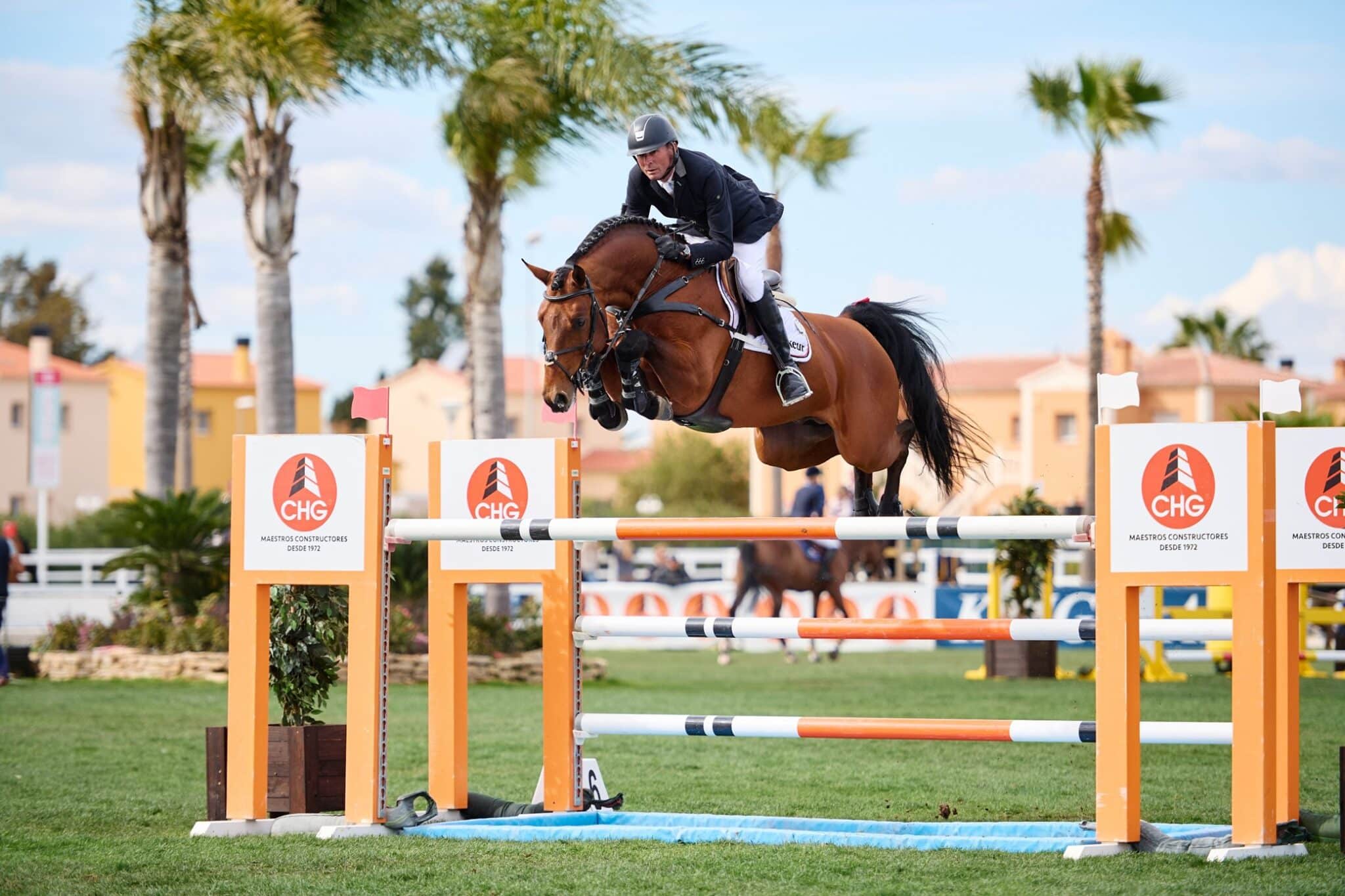 Springhengsten | Categorieën | Team Nijhof